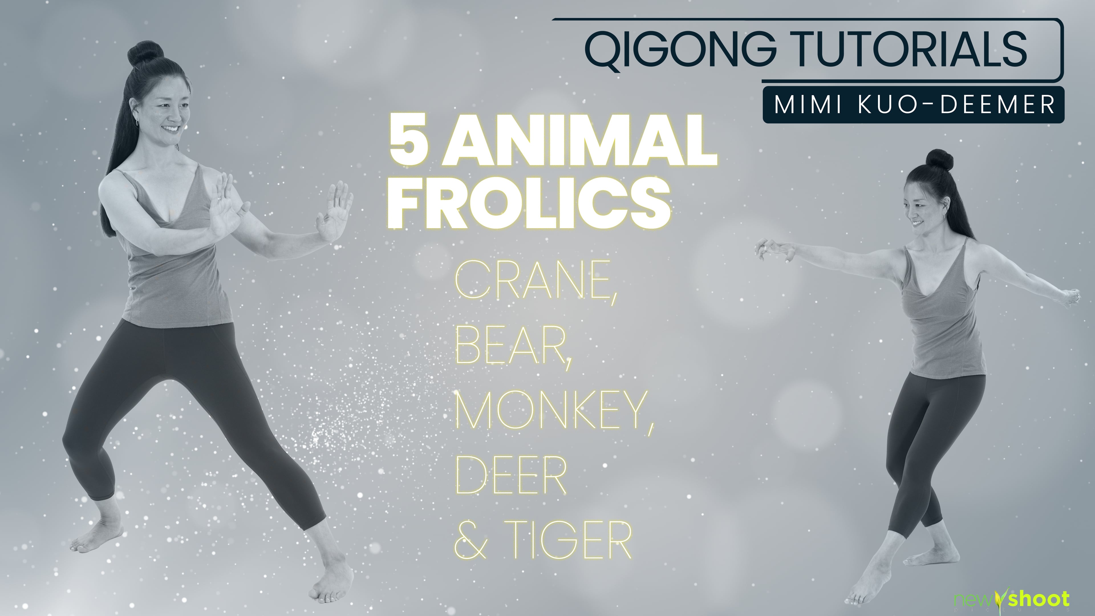 Watch Qigong Tutorials - 5 Animal Frolics : Crane, Bear, Monkey, Deer ...