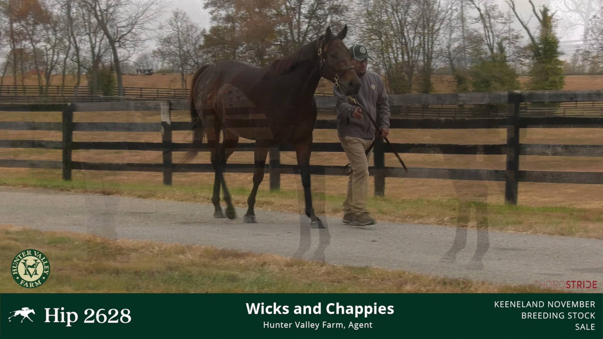 KEENOV22_2628_Wicks and Chappies on Vimeo