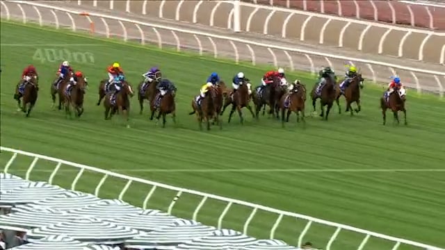 I Am Invincible - Stallion | Breednet