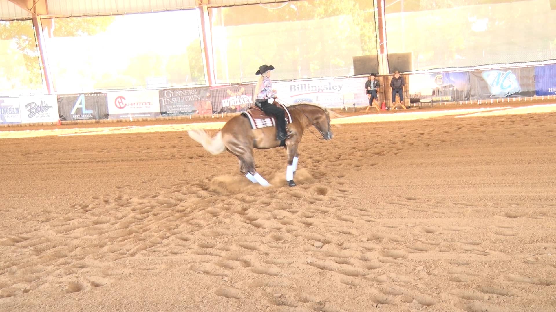 20221025 Novice Horse Open Courtney Brooke Battison on Xtra Little ...