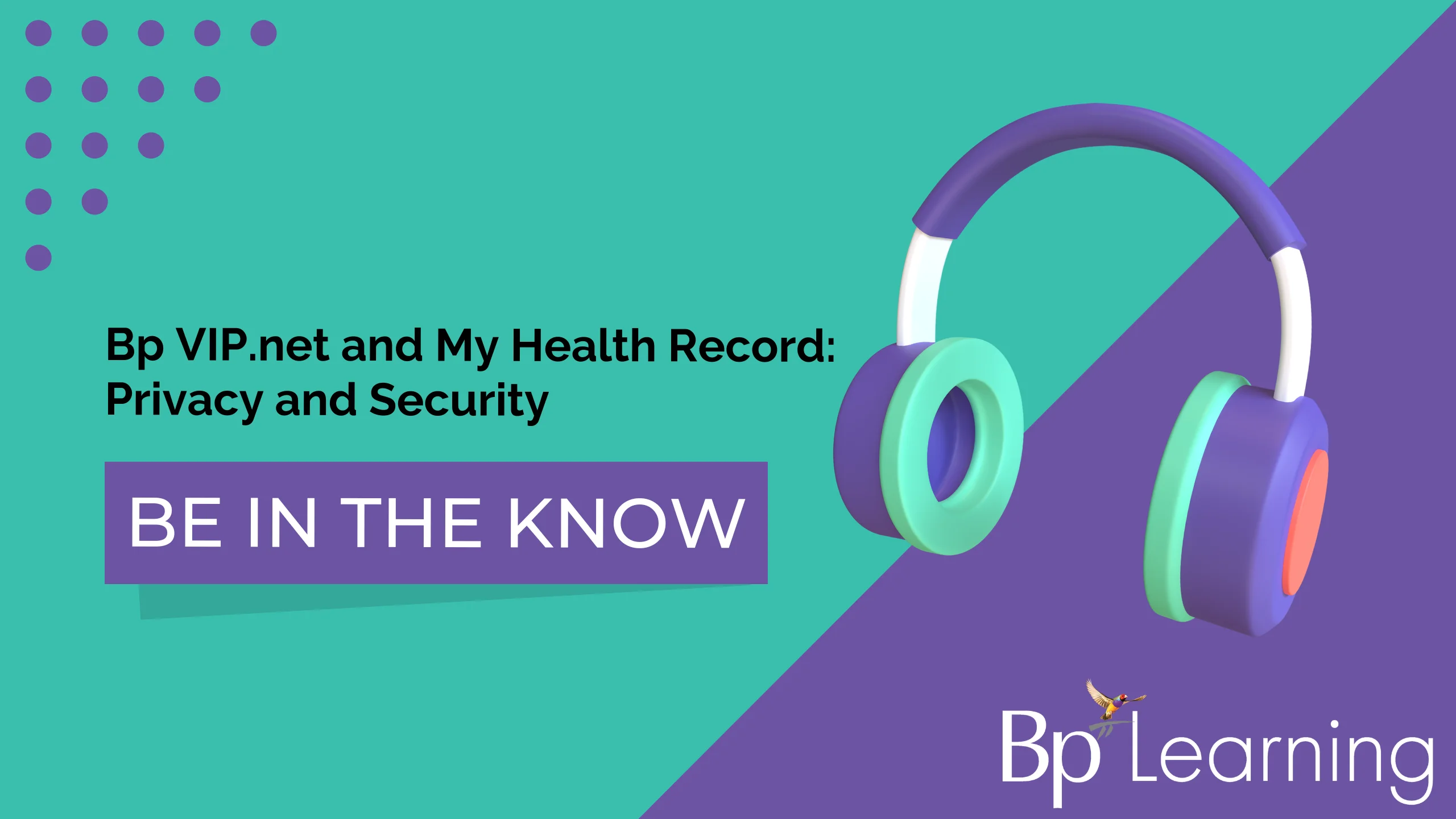 Bp VIP.net and My Health Record: Part 4 - Privacy and Security on Vimeo