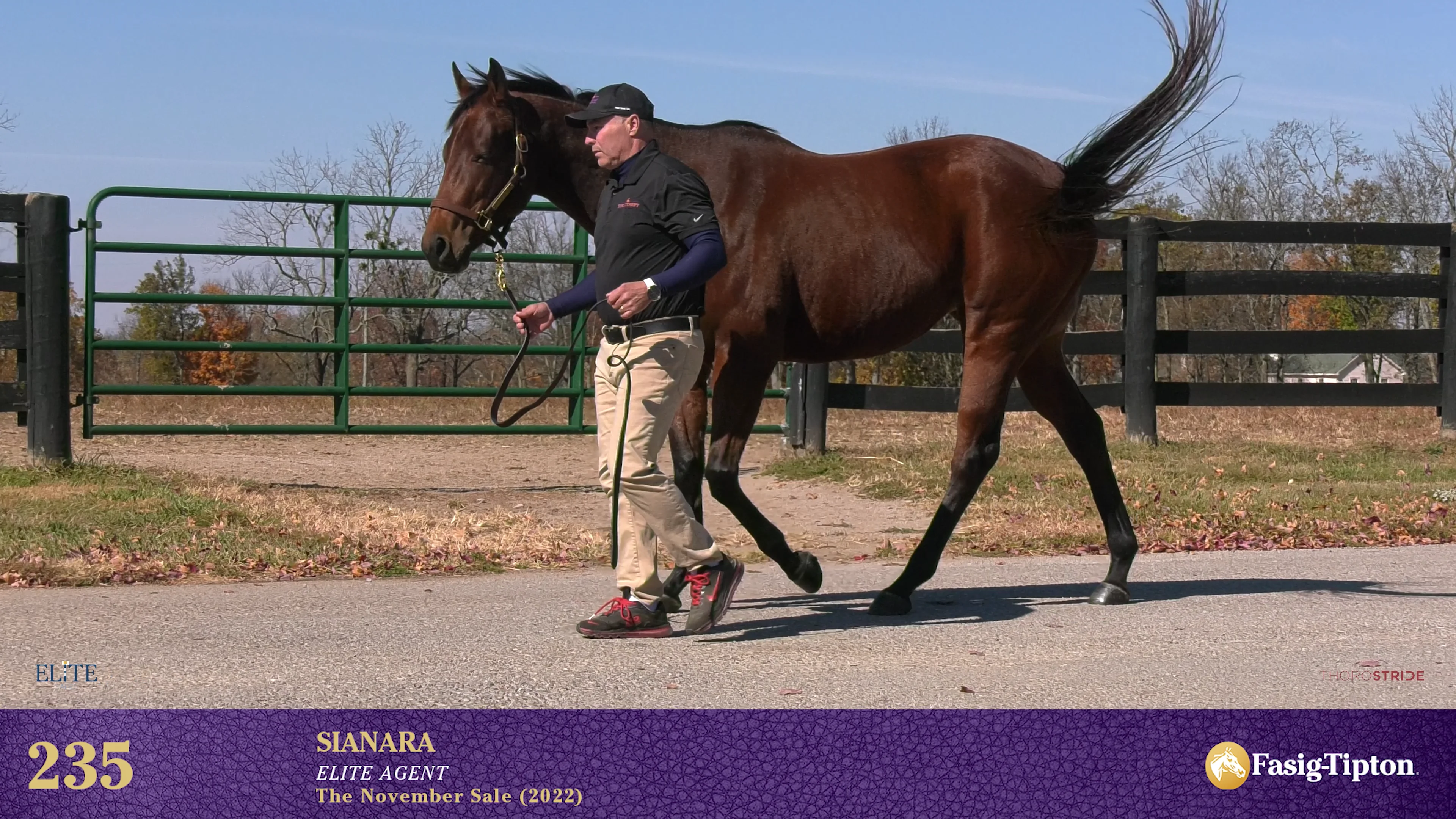 FTKNOV22_Hip 235_SIANARA on Vimeo