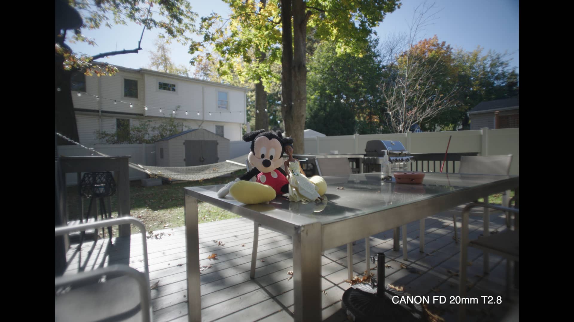 Untitled Project.mov on Vimeo