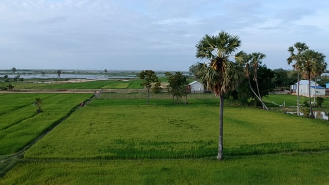 4+ Free Angkor Wat Cambodia & Cambodia Videos, HD & 4K Clips - Pixabay