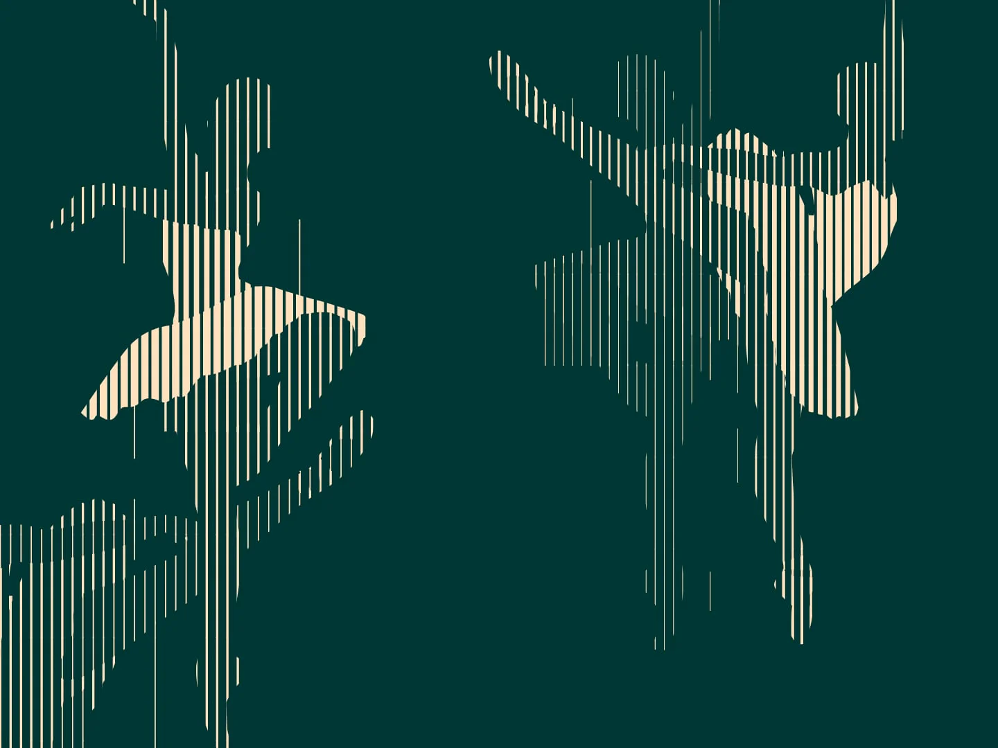 World Ballet Day: Morning class with The Norwegian National Ballet