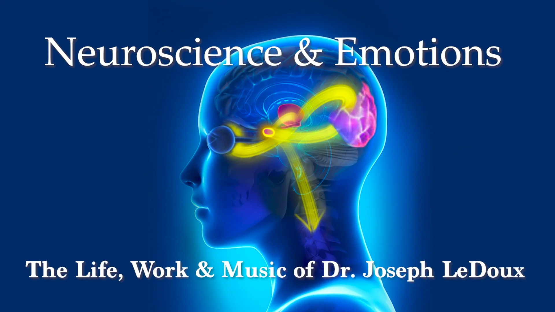 "Neuroscience & Emotions" Trailer on Vimeo
