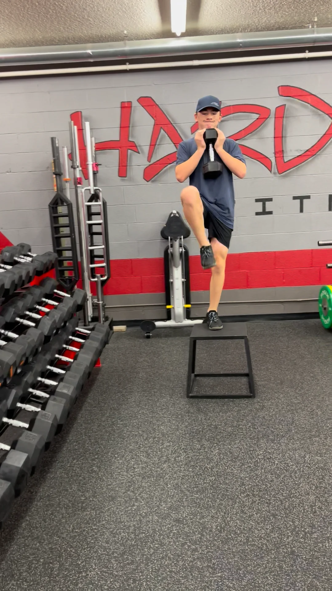 Goblet Step ups.MOV on Vimeo