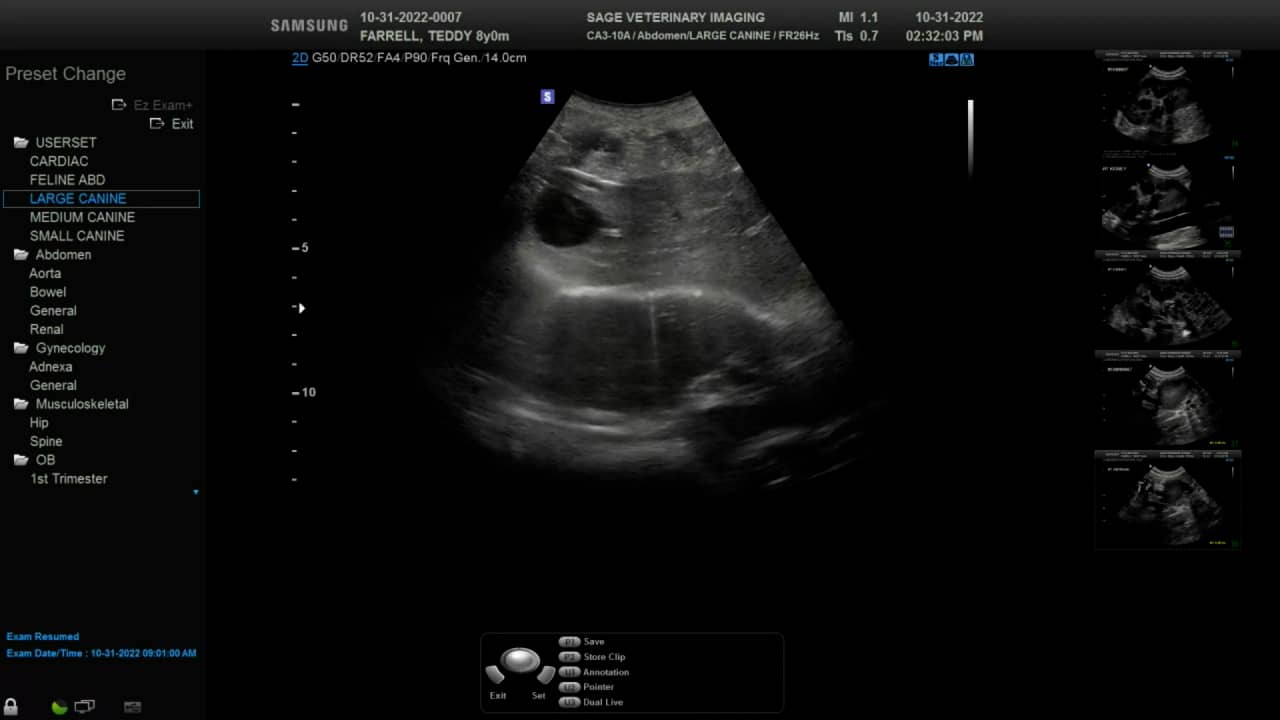 Teddy 10/31 on Vimeo