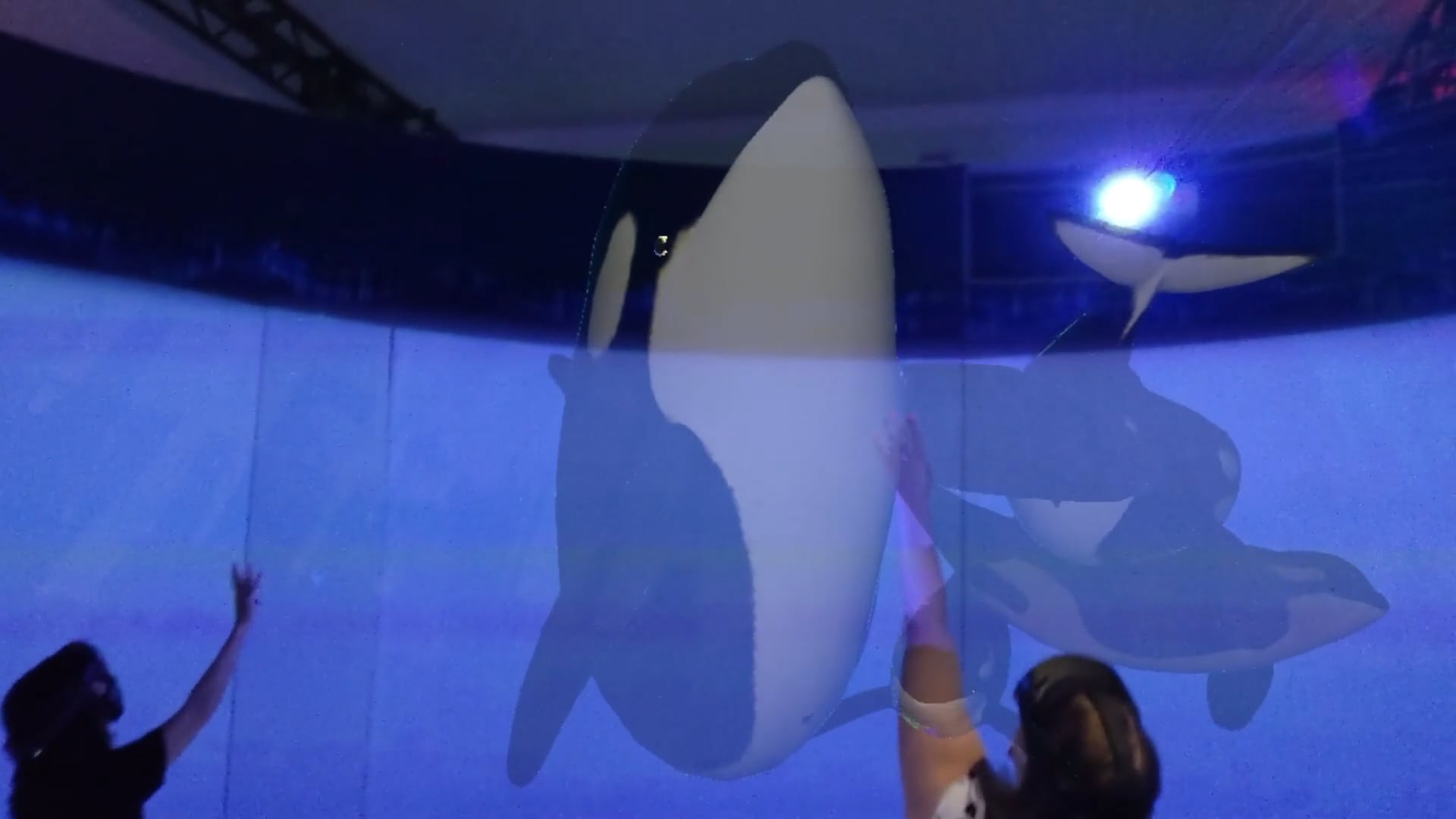 Vision3 Immersive Ocean Highlights