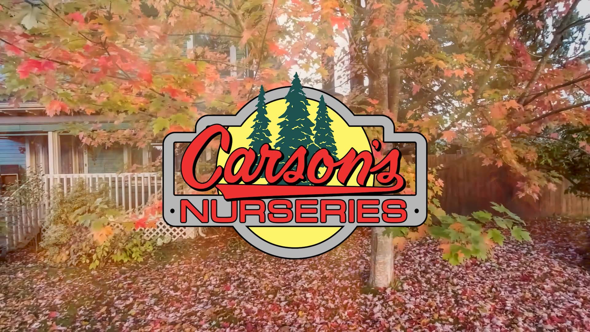 Carson's Nursery Fall 2022.mp4 on Vimeo