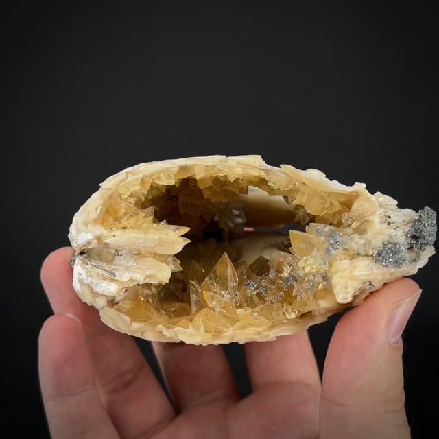 Calcite in Fossil Clam Shell (Currier Coll.) | Rucks' Pit, Fort Drum ...