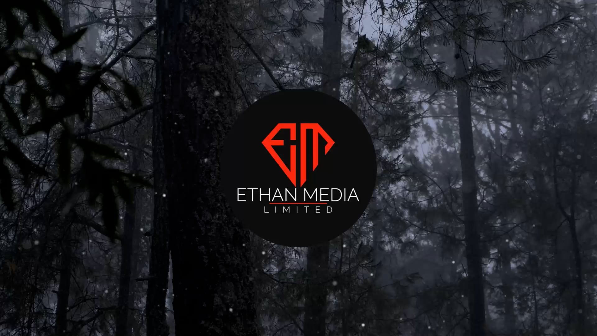 Ethan Media Logo Reveal NU (1).mp4 on Vimeo