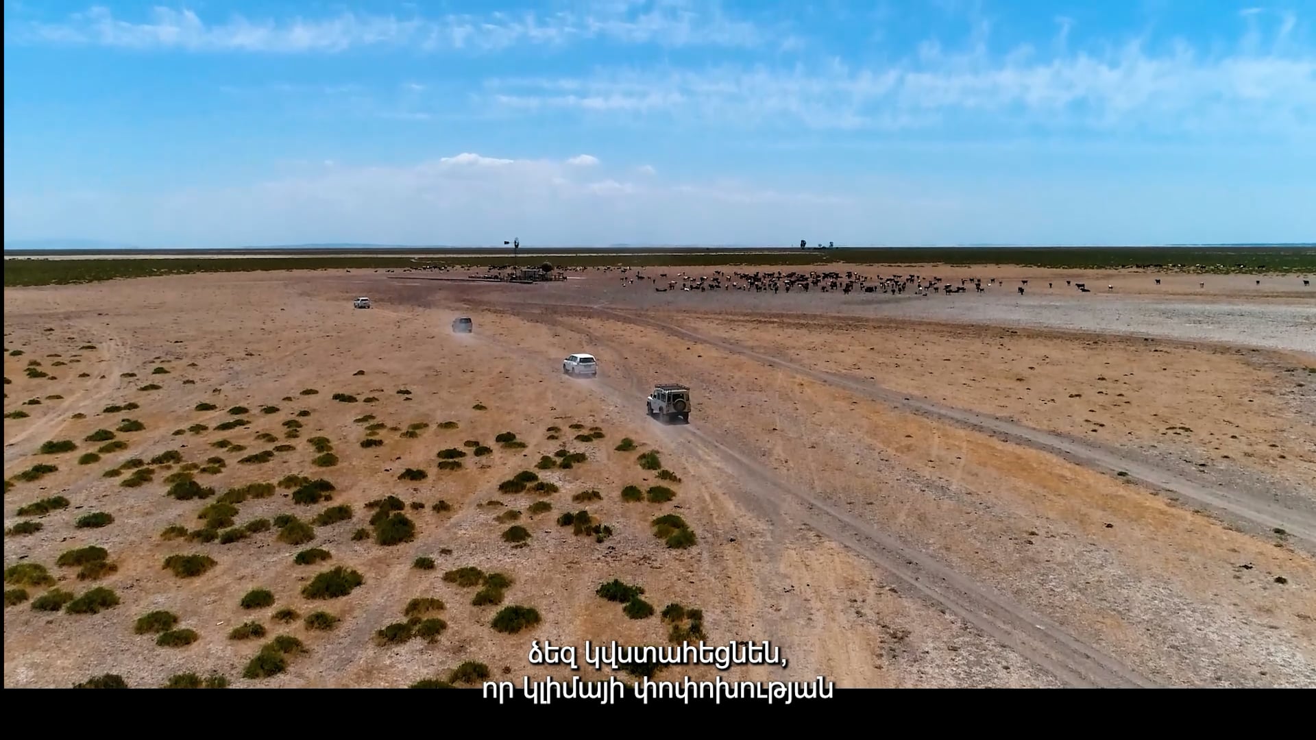 Livestock or Desert+ARM on Vimeo