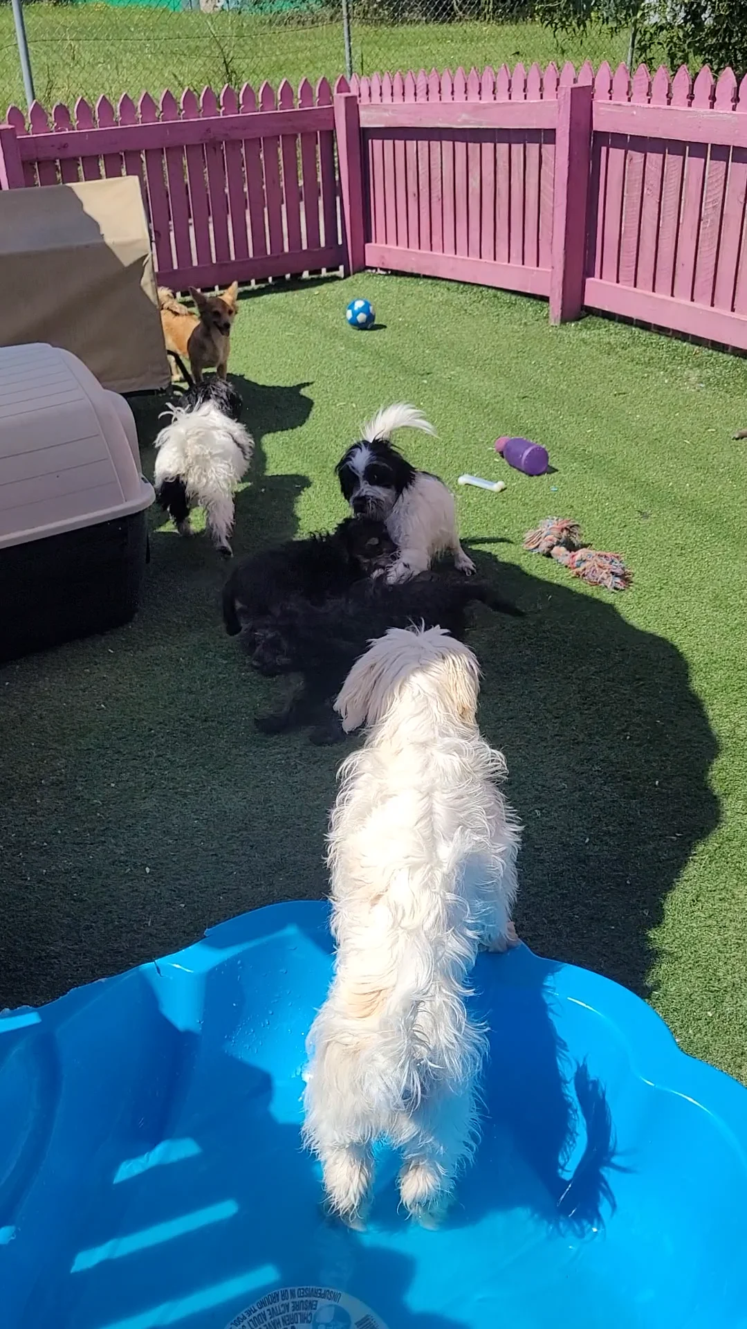 20221102_091500 on Vimeo