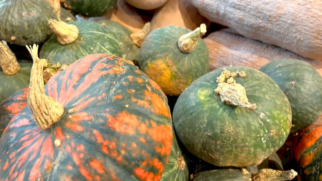 Pumpkin Fruit Vegetable - Free video on Pixabay