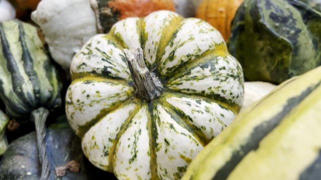 Calabaza Fruta Vegetal Víspera De - Free video on Pixabay - Pixabay