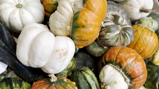 Calabaza Fruta Vegetal Víspera De - Free video on Pixabay - Pixabay