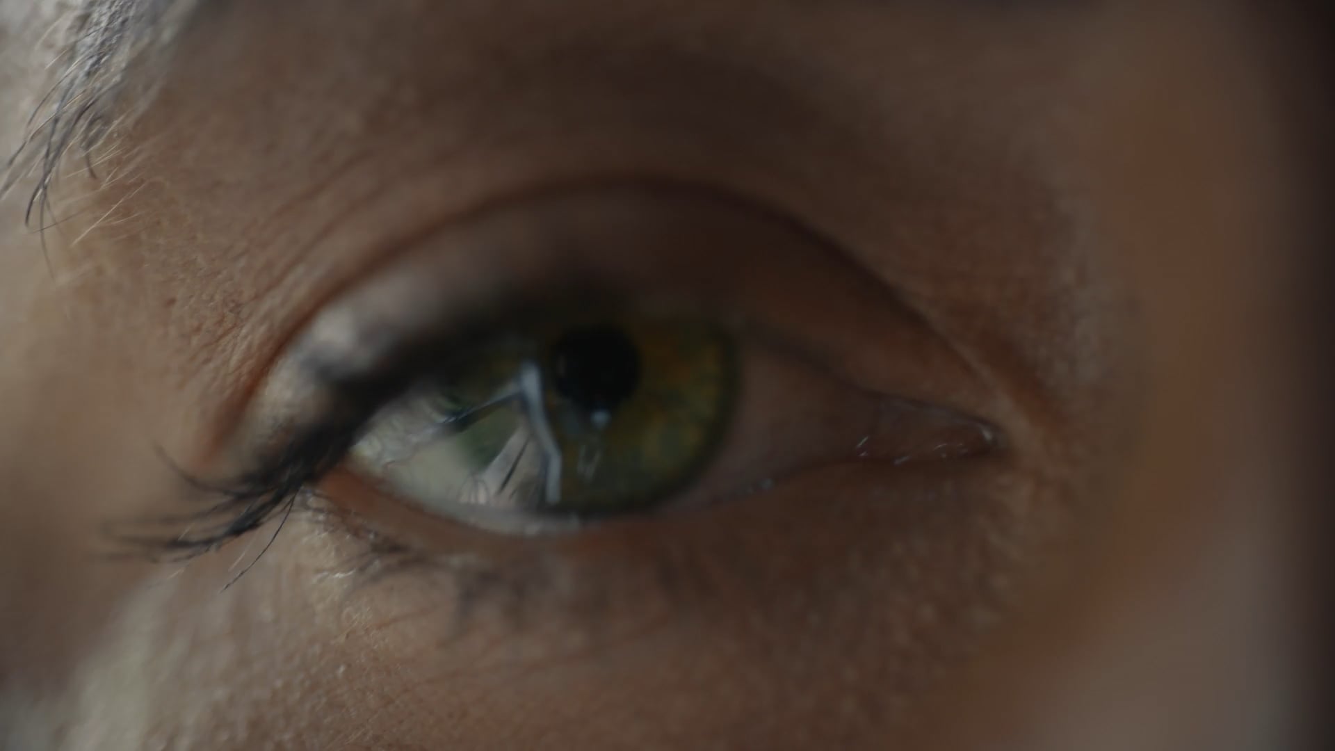 Humans Are Incredible :60 on Vimeo