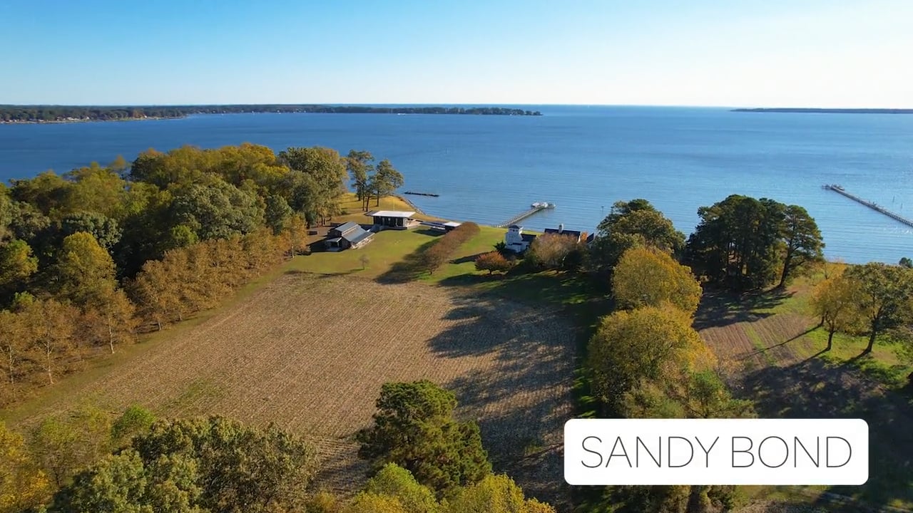 Sandy Bond on Vimeo