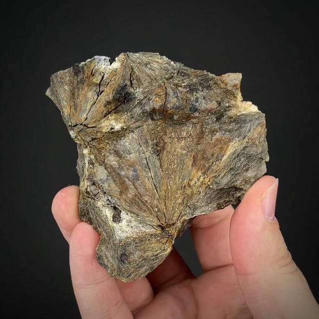 Grunerite/Cummingtonite (TYPE LOCALITY) | Cummington, Hampshire Co ...