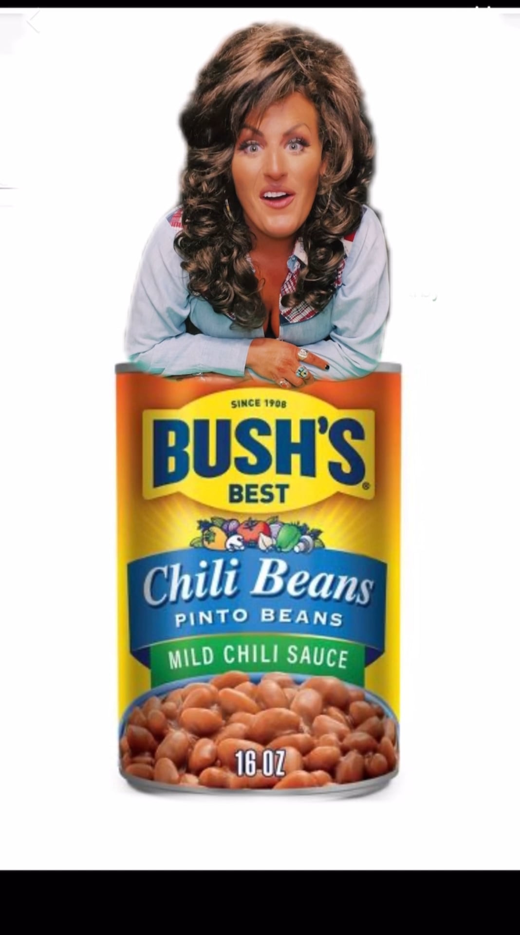 Gatlinburg Winter Magic Kickoff and Chili Cookoff Presented by Bush’s® Chili Beans Returns on Vimeo