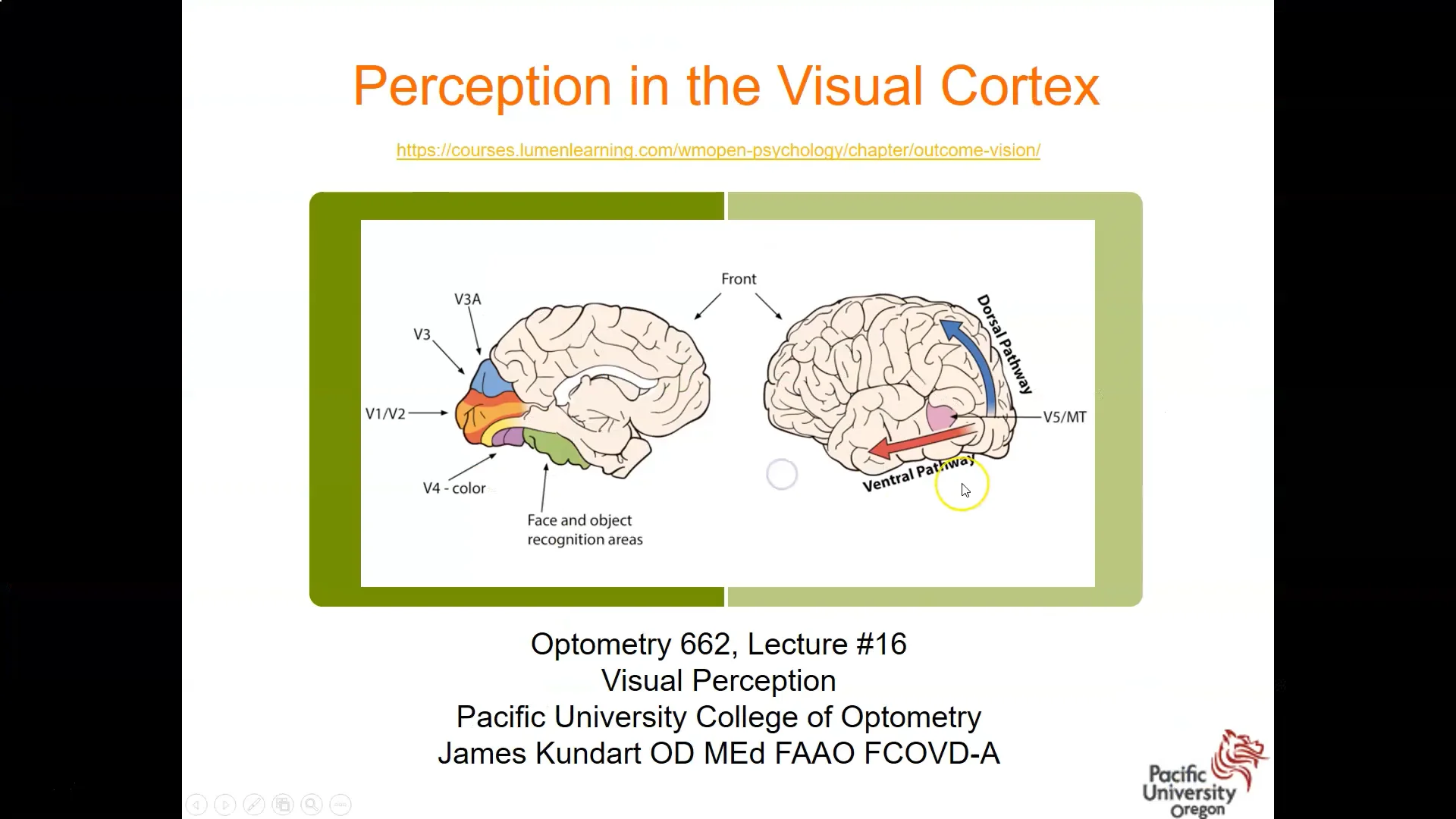 Opt 662 #16A Visual Cortex Part 1 2022.mp4 on Vimeo