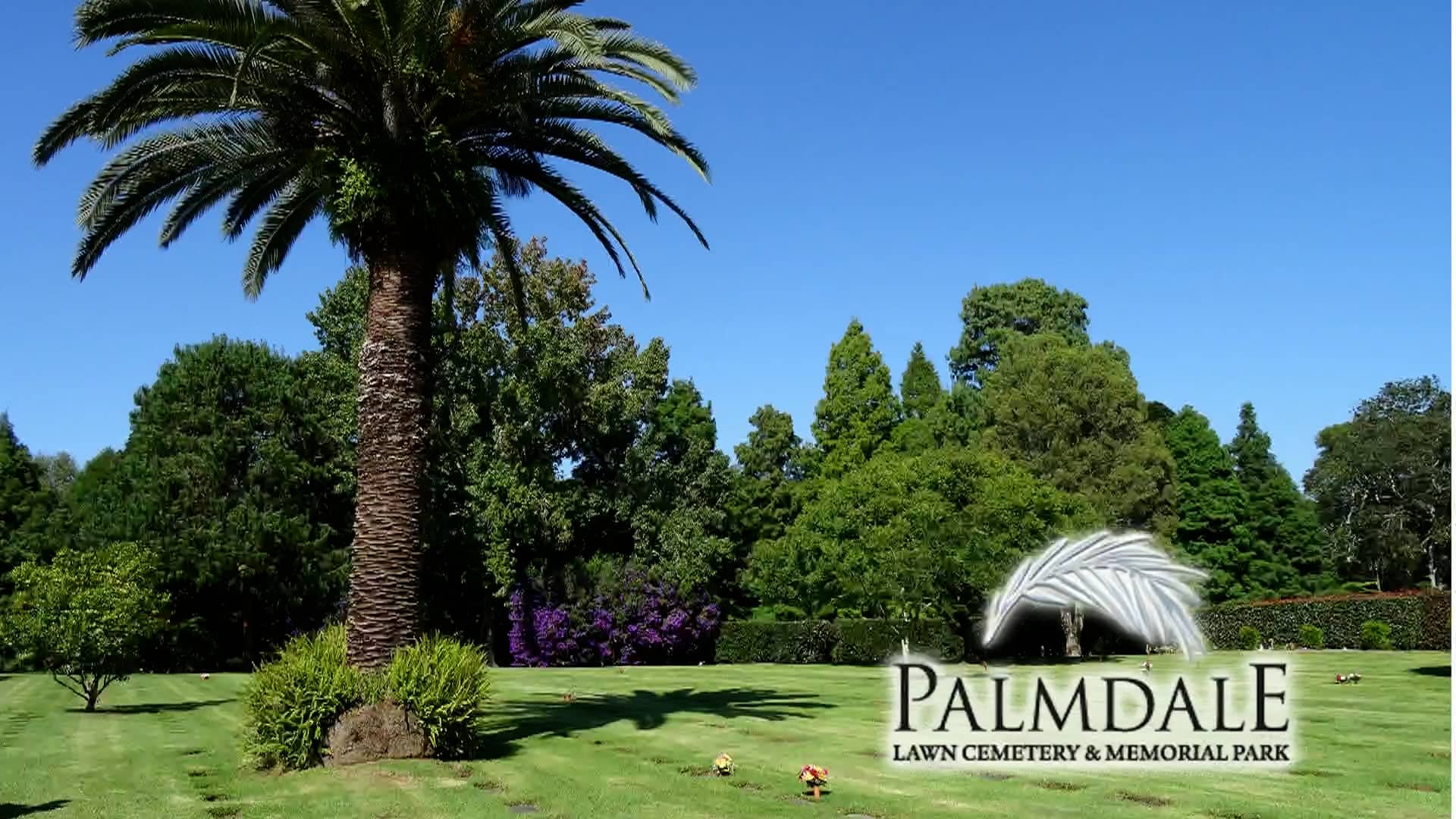 Carol Sims.mp4 on Vimeo