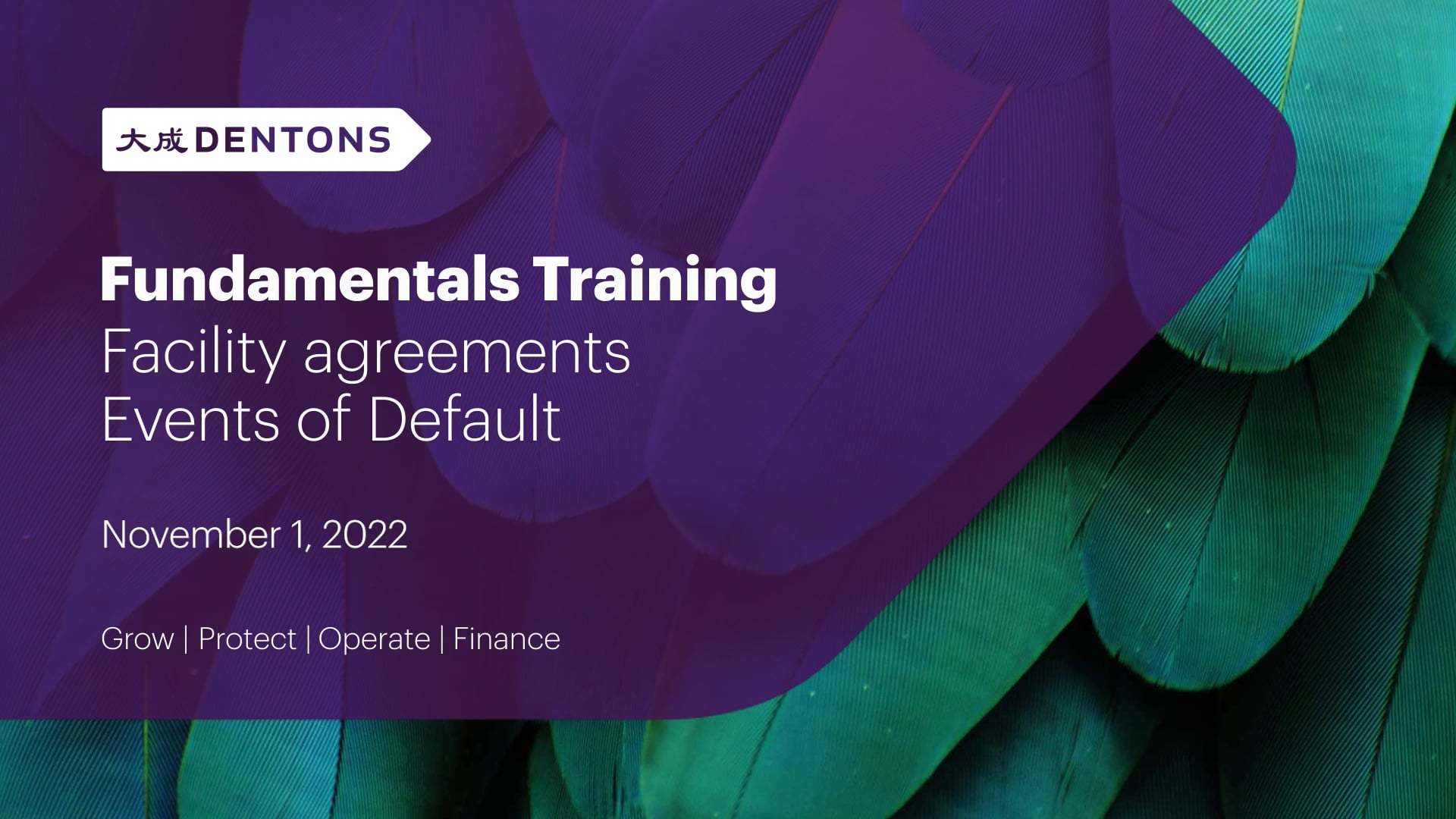 The Fundamentals Training Programme: Facility agreements - events of ...