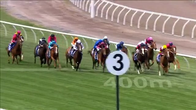 I Am Invincible - Stallion | Breednet