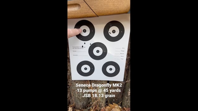 45 yards with the Seneca Dragonfly MK2 at 13 pumps-JSB 18’s. Follow up ...