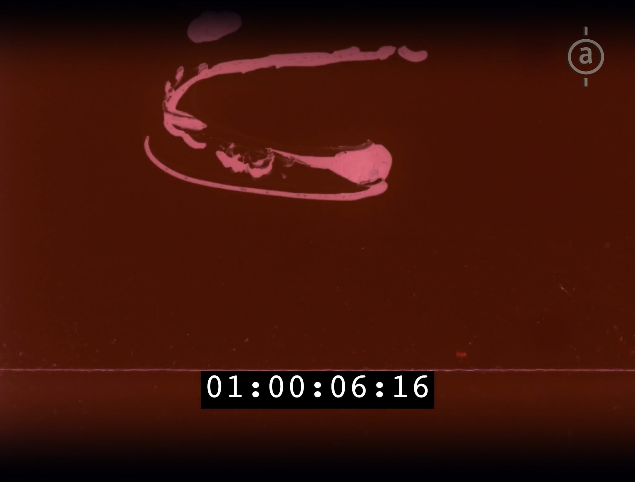 Convegno "Movimento" - Bologna, 1977 (2K) on Vimeo