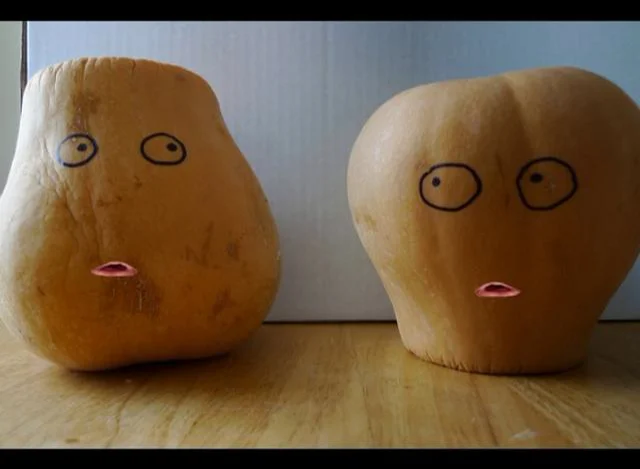 wait, what? podcast on Vimeo