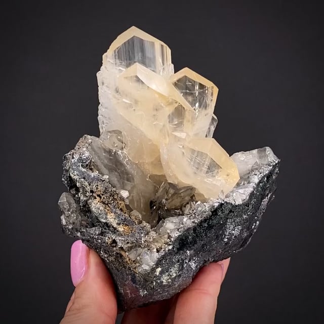 Anglesite on Galena - HEF22-30 - Touissit - Morocco Mineral Specimen
