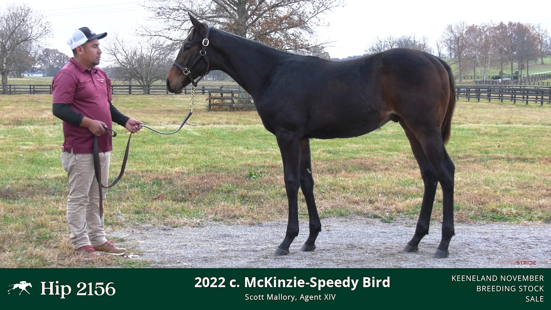 KEENOV22_2156_Speedy Bird 22 on Vimeo
