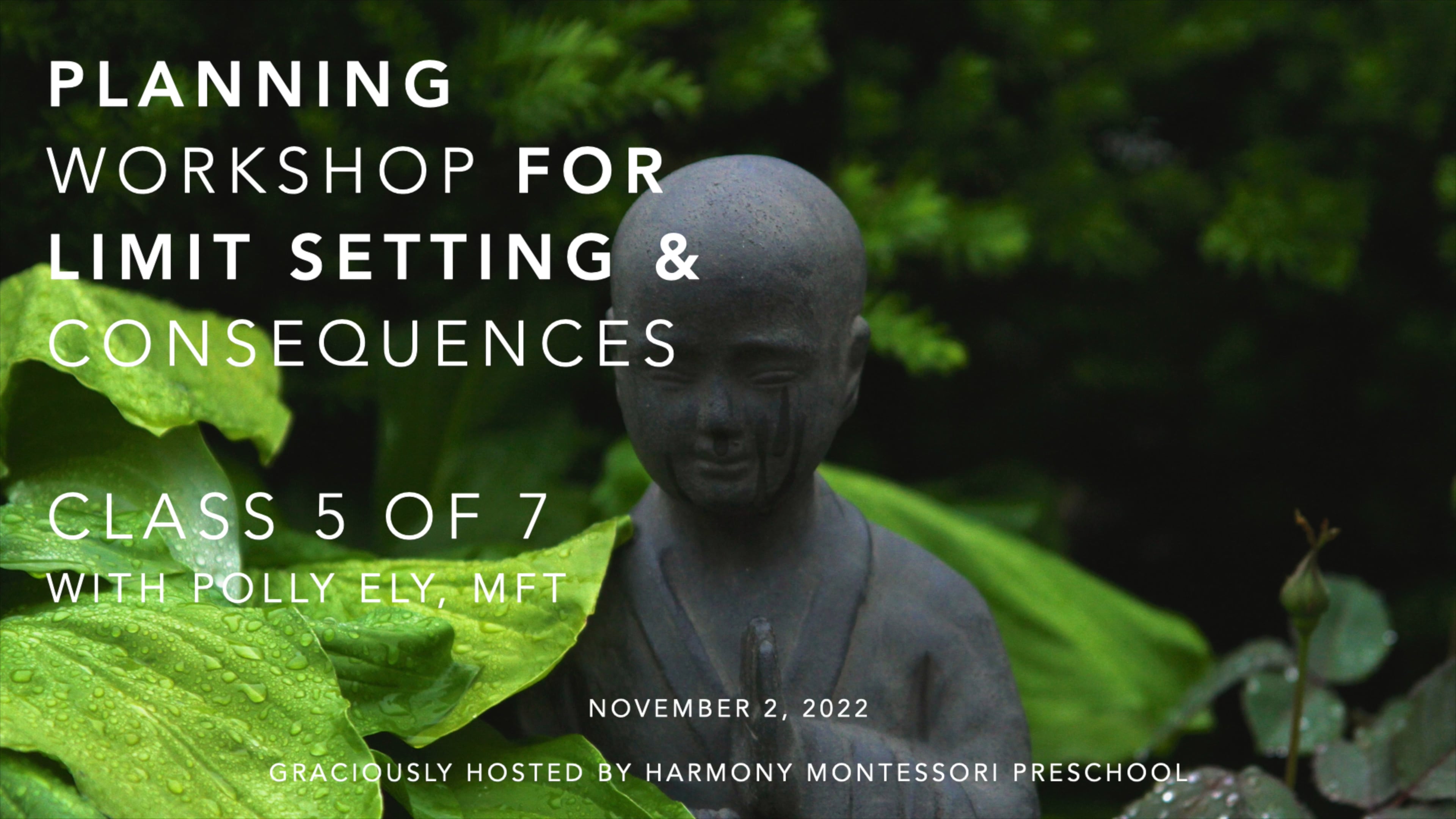 Watch Relaxed Leadership Session 5: Limit Setting & Consequences Online ...