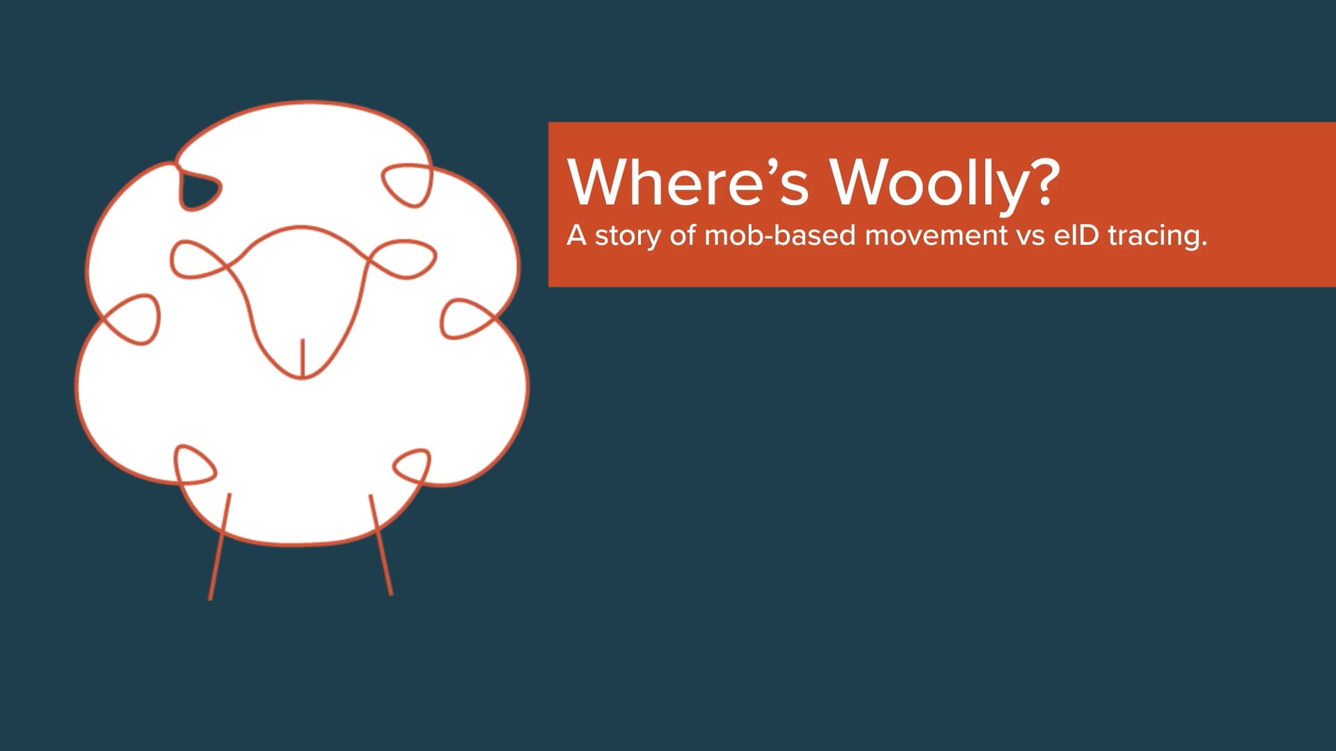 Where's Woolly? on Vimeo