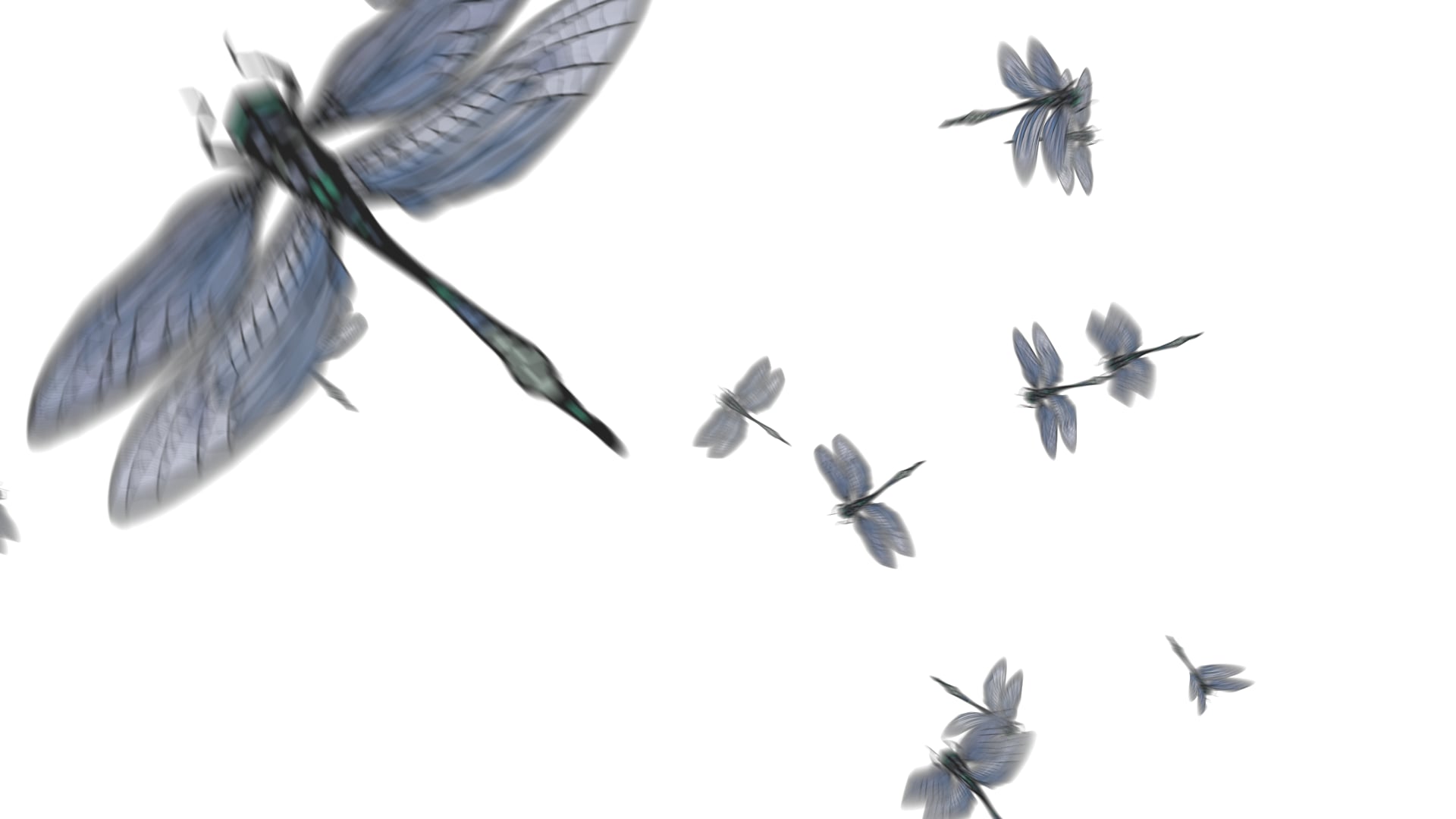 Dragonfly Films - Video Production, Corporate Video