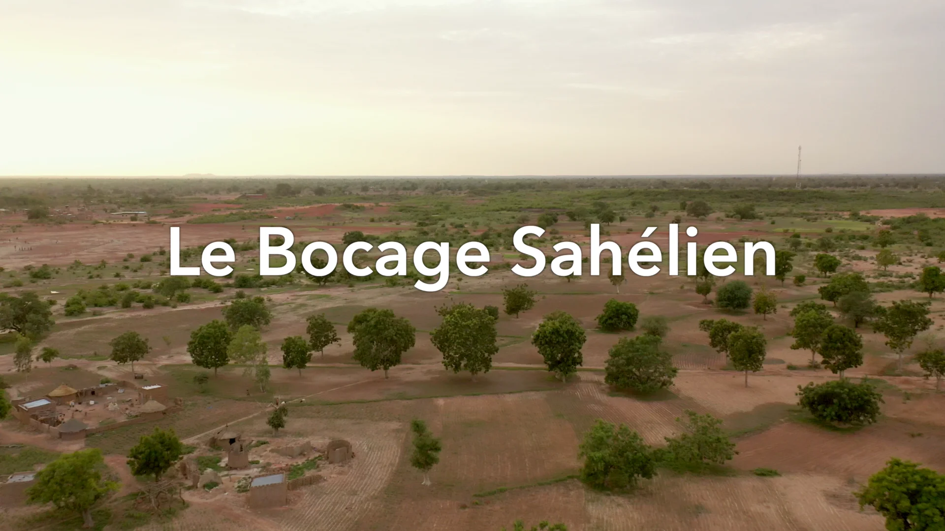Le Bocage Sahélien