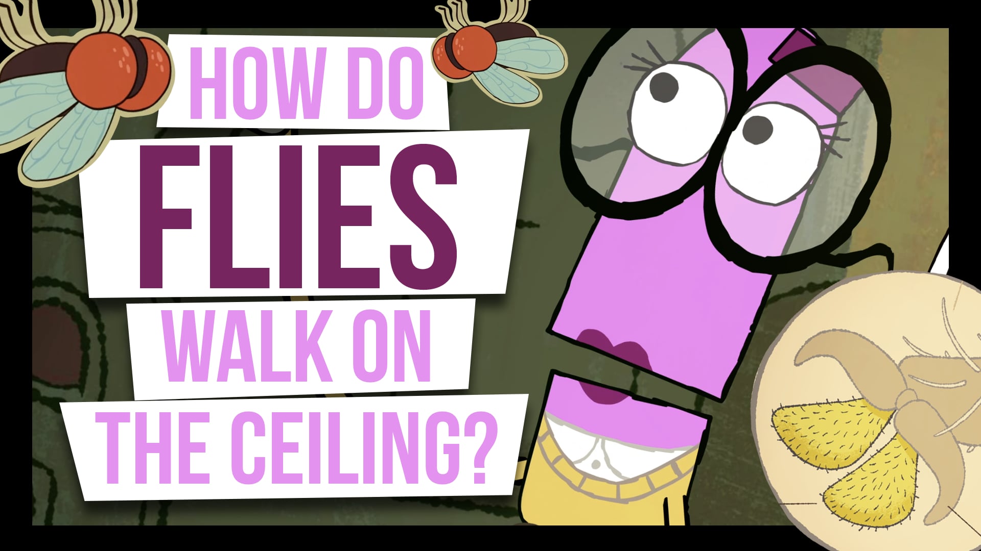 StoryBots: Answer Time | Eleanor Smartypants on Flies on Vimeo