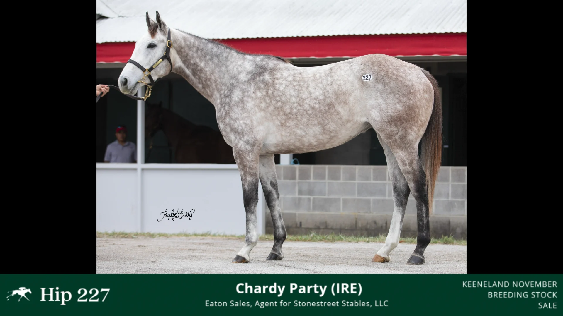 KEENOV22 227 Chardy Party (IRE) on Vimeo