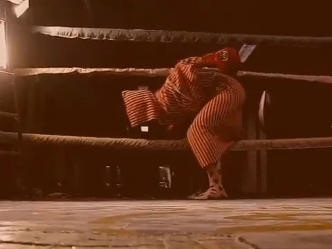 Foxy Boxing! Fight KO.mp4