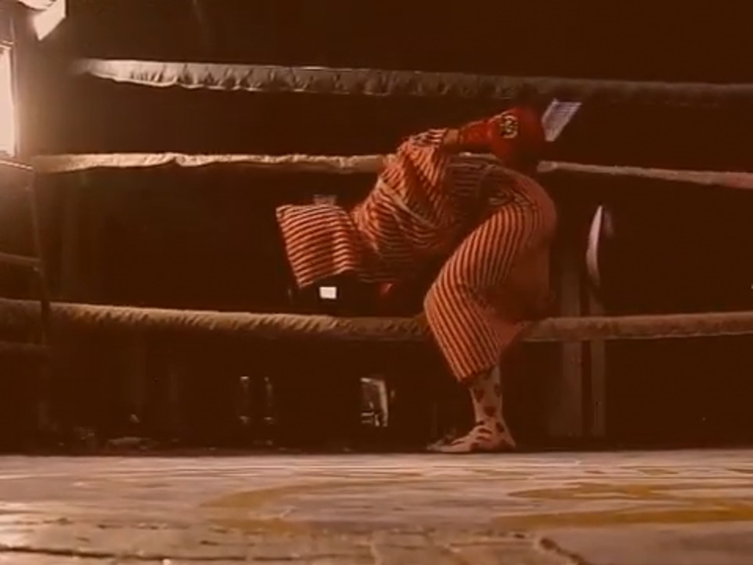 Foxy Boxing! Fight KO.mp4