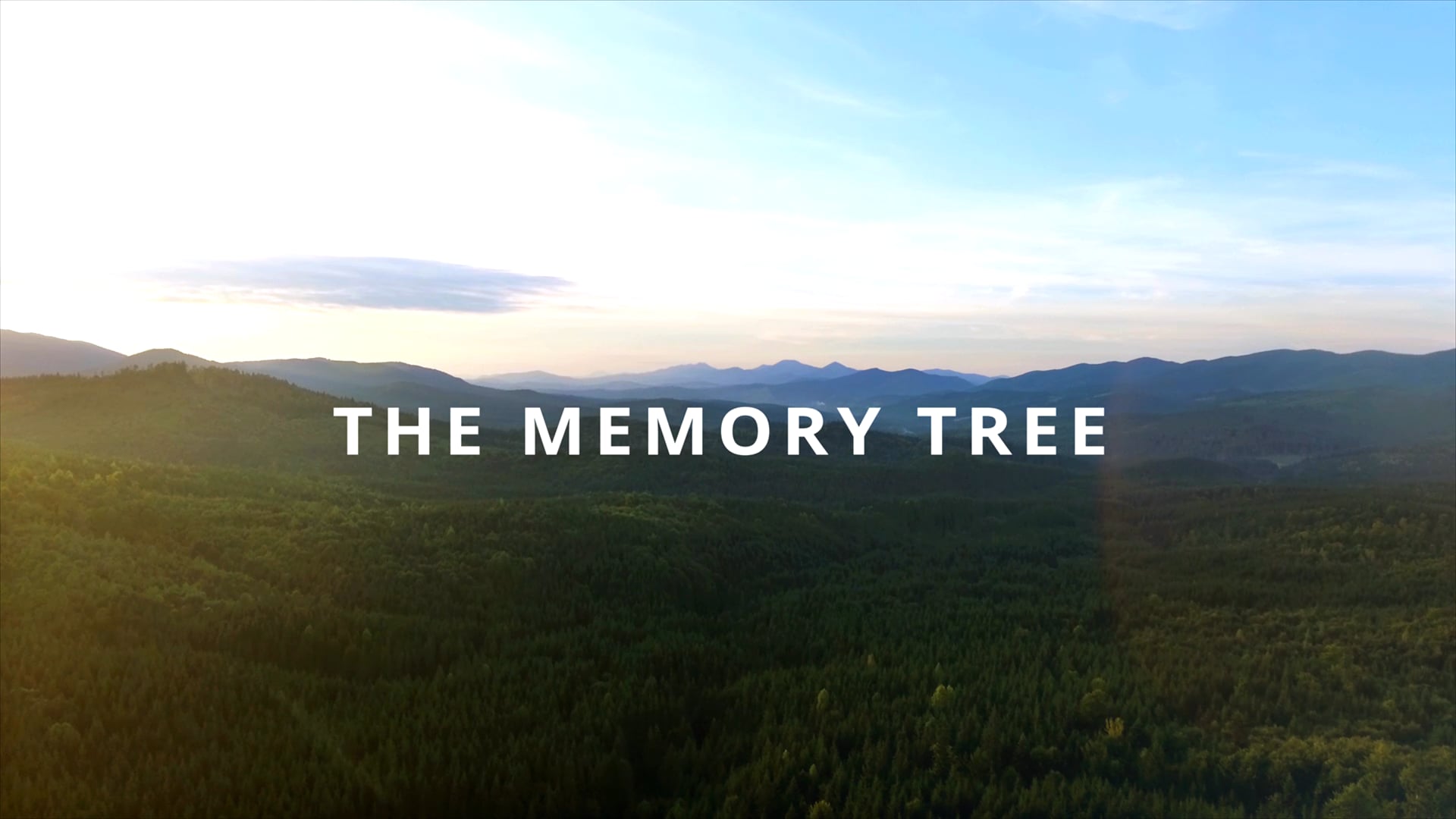 TMT_HOW IT WORKS_V10.mov on Vimeo