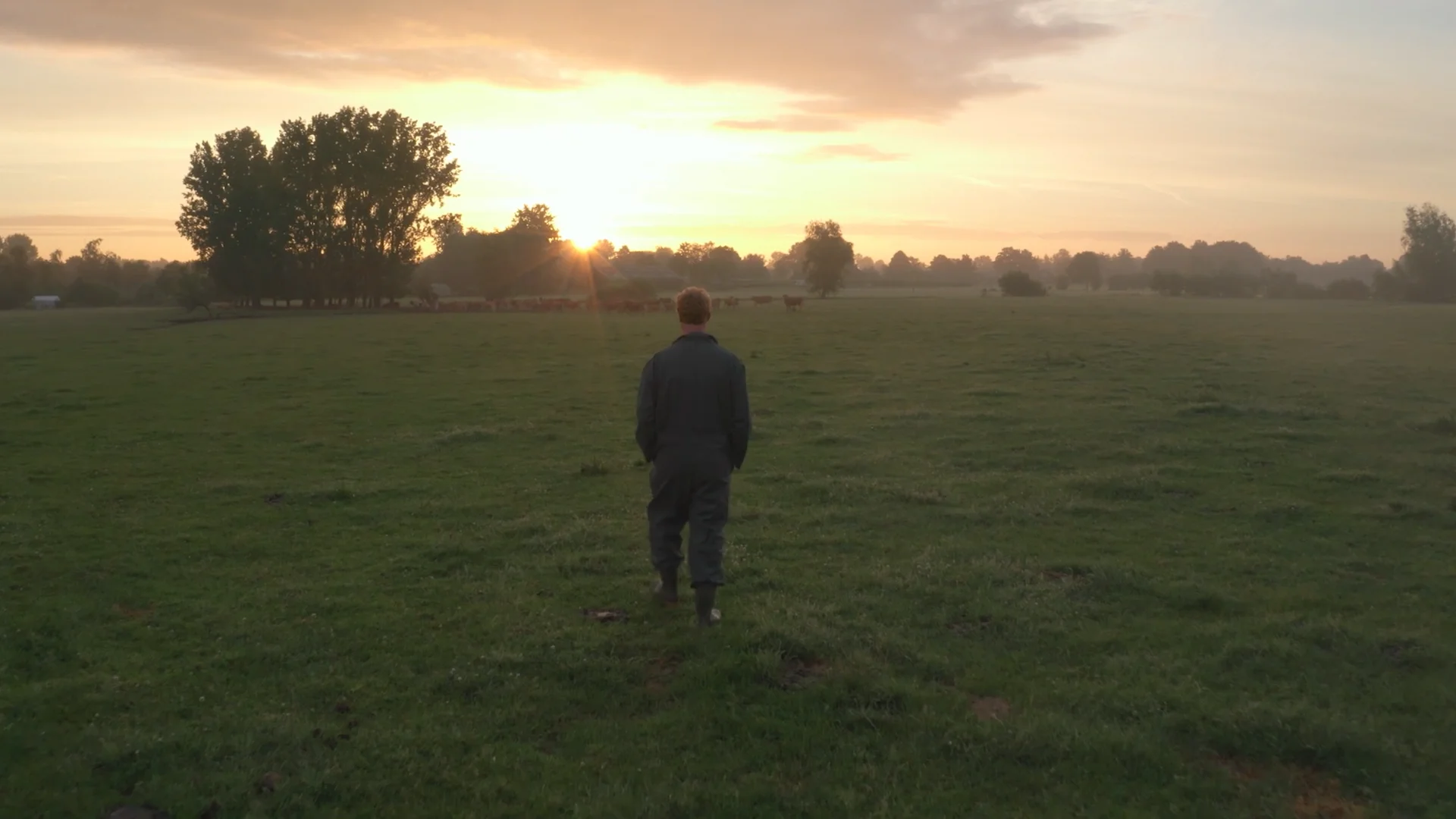 RespectFarms DEF NL on Vimeo