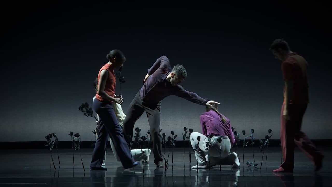 tempus fugit - futur proche_trailer.mp4 on Vimeo