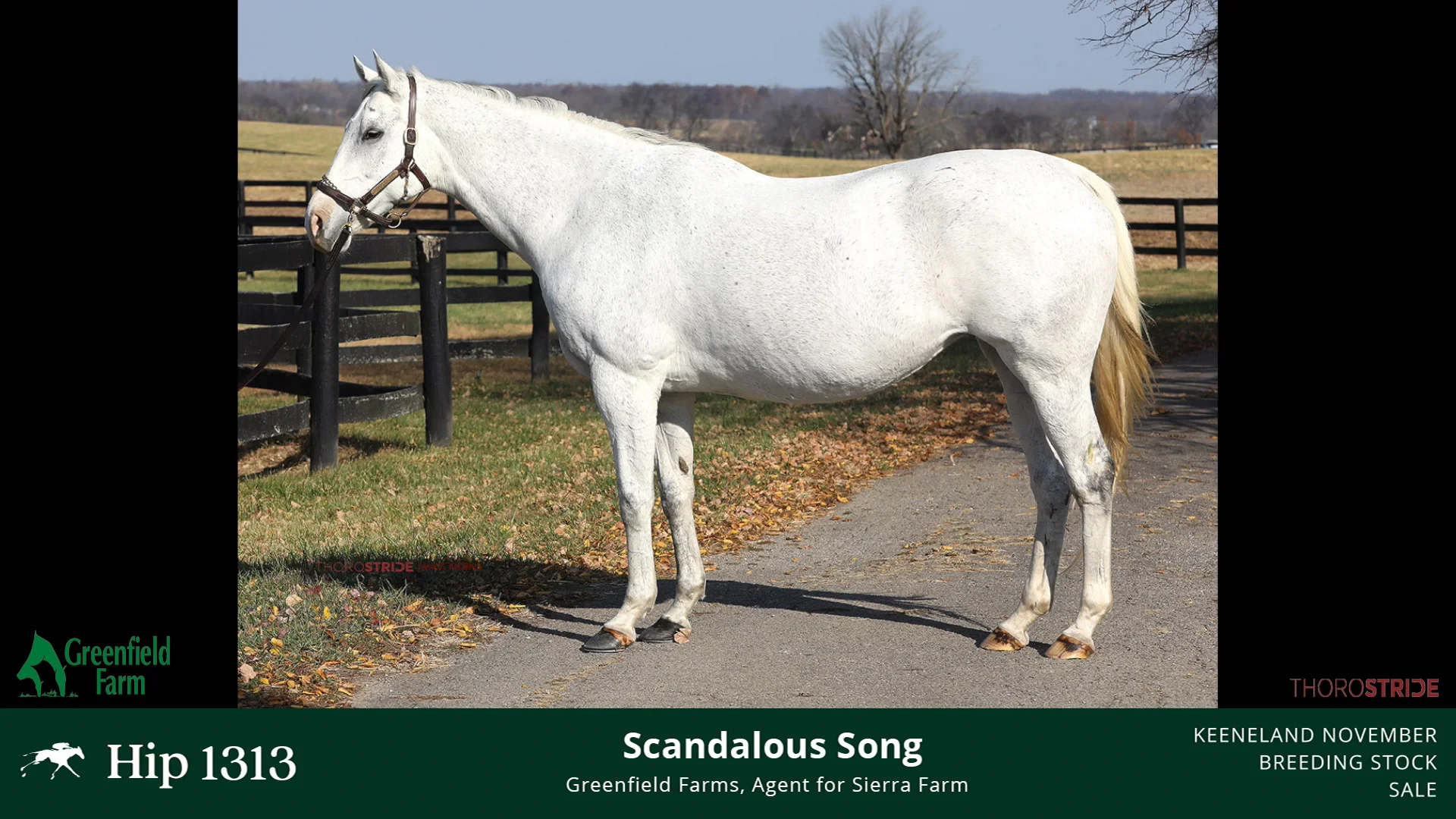KEENOV22_1313_Scandalous Song on Vimeo