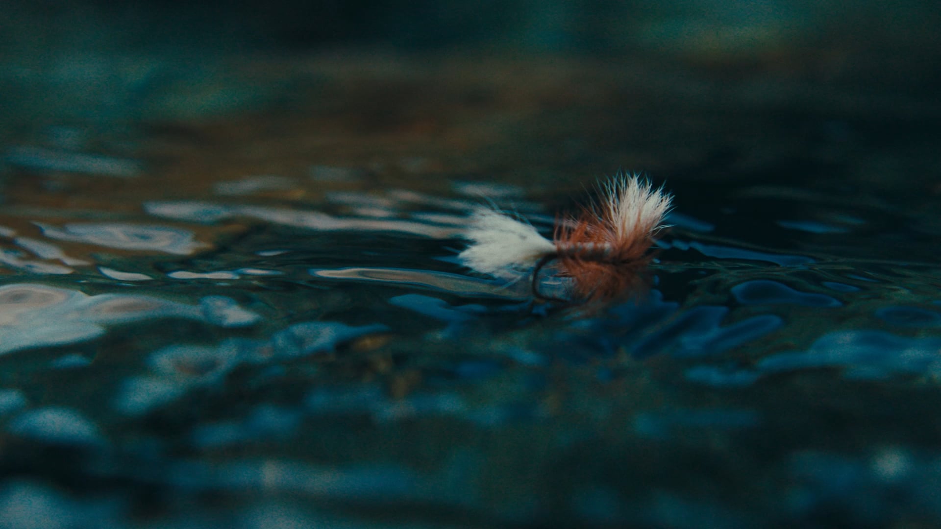 Front Page | Mustad Fishing