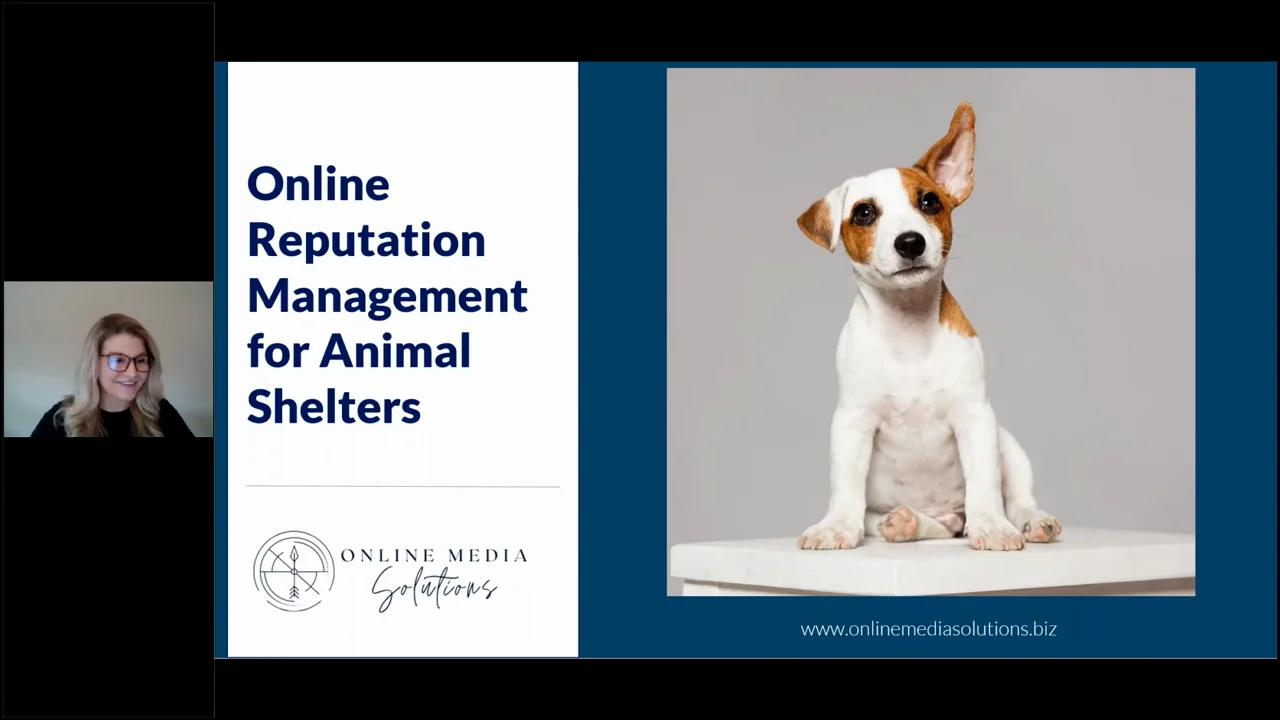 Watch Online Reputation Management for Animal Shelters Online | Vimeo ...