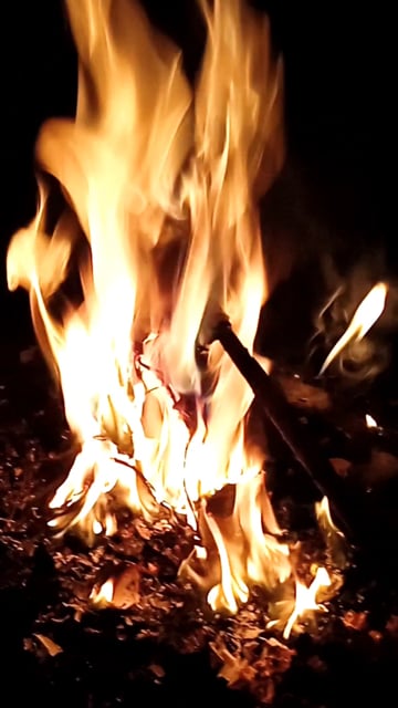 Fuego Caliente Quemar - Free video on Pixabay - Pixabay