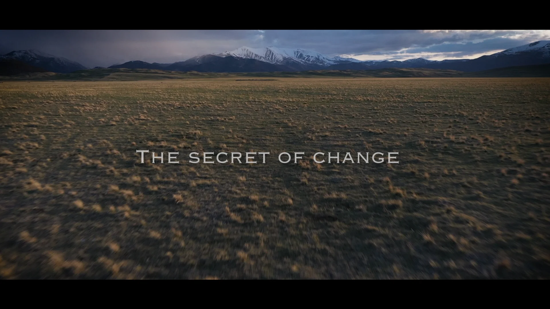 Catalyst For Change on Vimeo